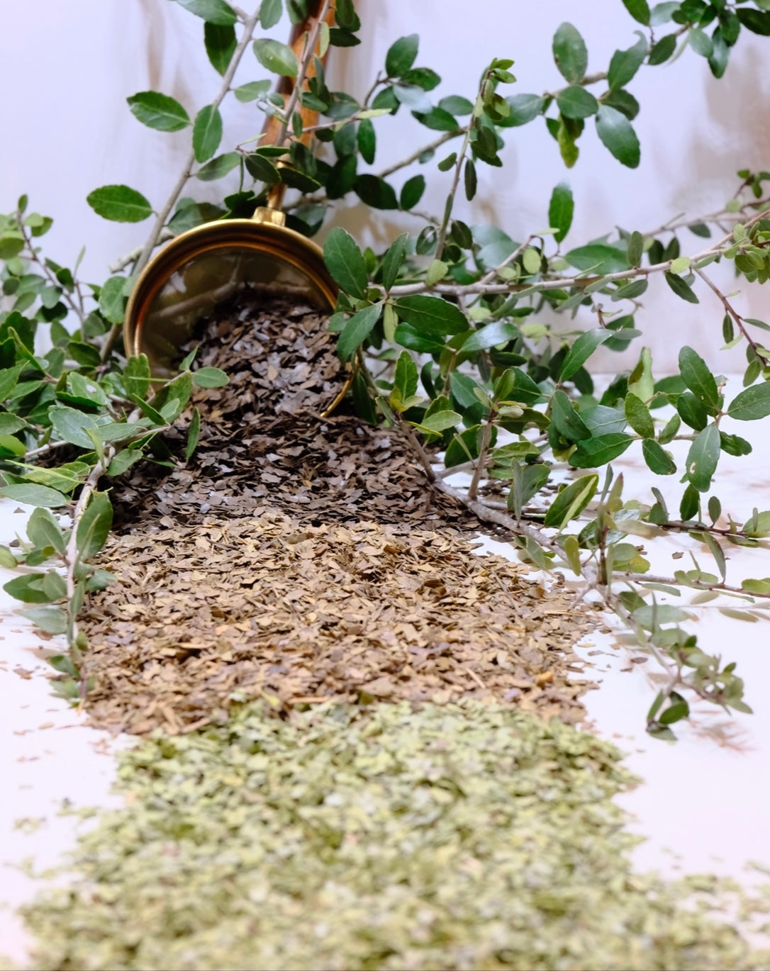 TX Brand Tea